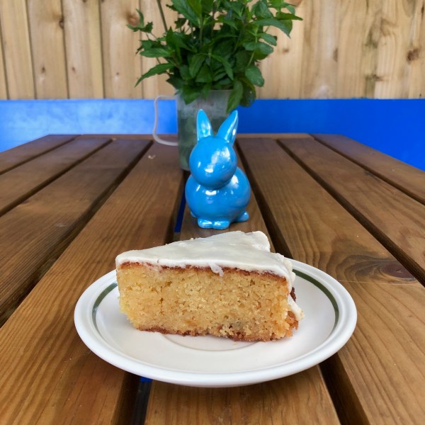 New Developments and Grant Support – Blue Rabbit Cafe